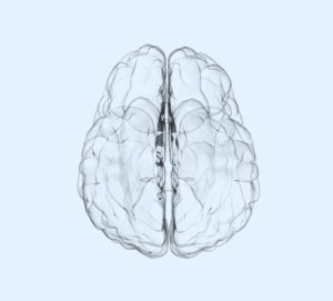 Patient Monitoring - MyBrainTech